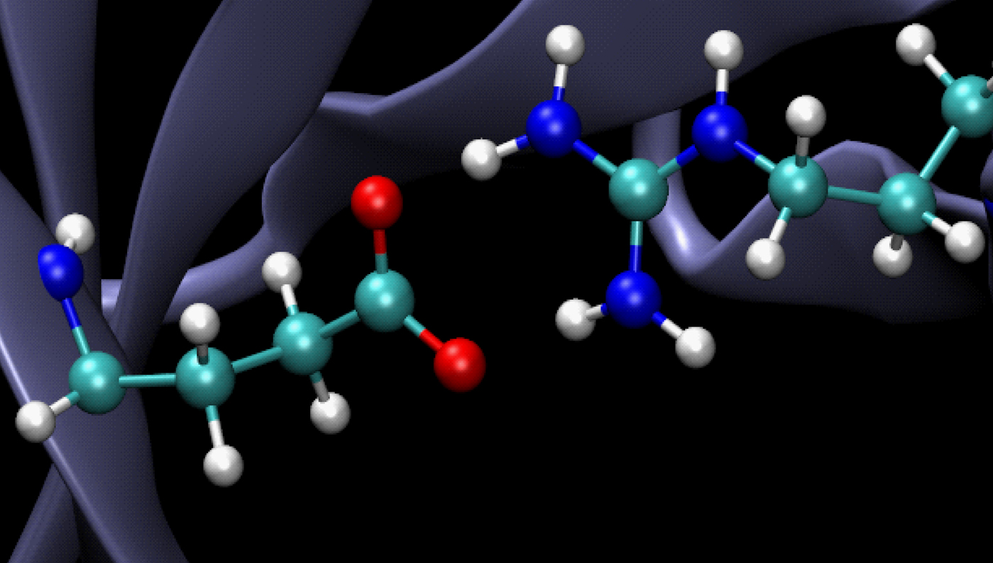 Conformational coupling between receptor and kinase binding sites ...