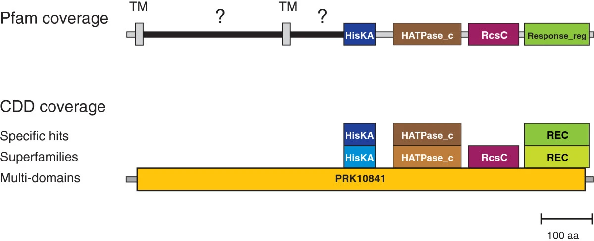 Dynamics of domain coverage of the protein sequence universe | Jouline Lab