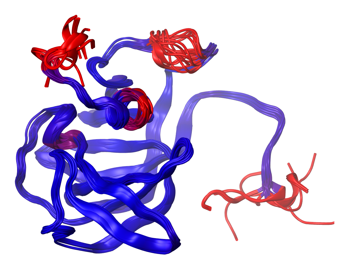 Homology modeling of the CheW coupling protein of the chemotaxis ...