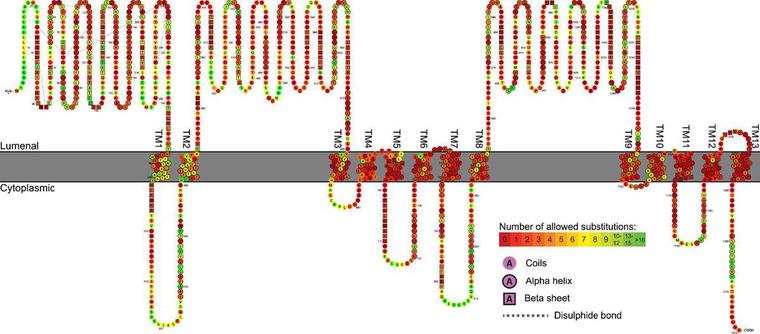 Research | Jouline Lab